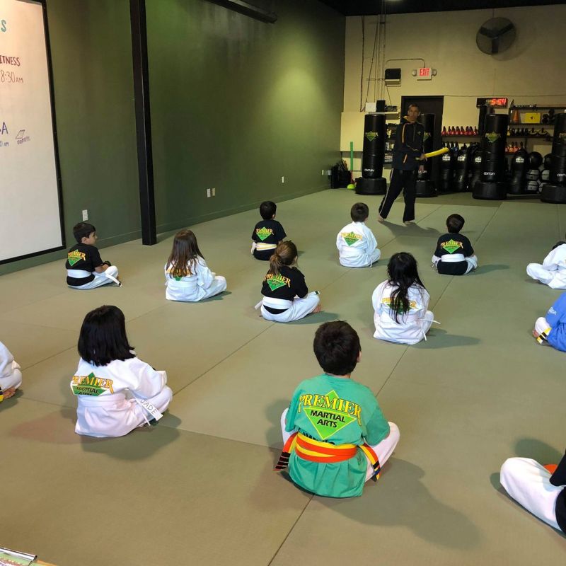 Premier Martial Arts | Austin Kid City Guide